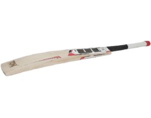 SS Master 9000 English Willow Cricket Bat - Big Value Shop