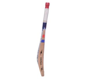 BDM Dynamic Power Cricket Bat - Big Value Shop