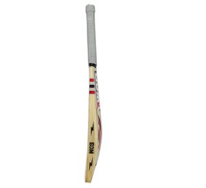 BDM Master Blaster English Willow Cricket Bat - Big Value Shop