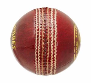 SS Club Cricket Ball | Pack of 6 - Big Value Shop