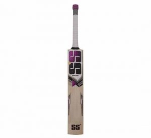 SS Gladiator Kashmir Willow Cricket Bat - Big Value Shop