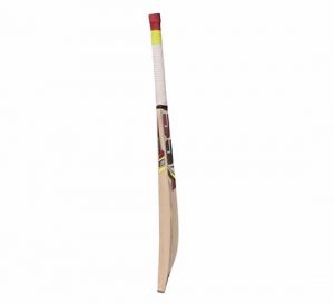 SS Sangakara Kashmir Willow Cricket Bat | Short Handle - Big Value Shop