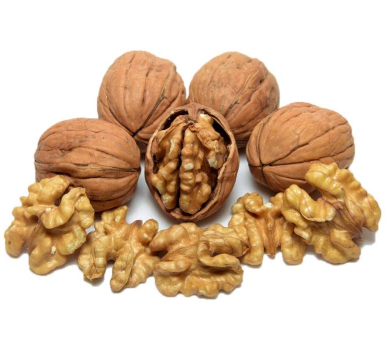 Solely Naturalz Jumbo Inshell Walnuts | Big Size Inshell Walnuts ...